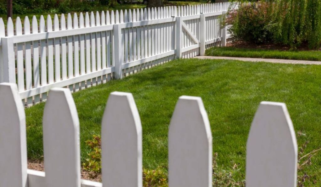 Front Yard Privacy Fence: Design Tips & Creative Ideas
